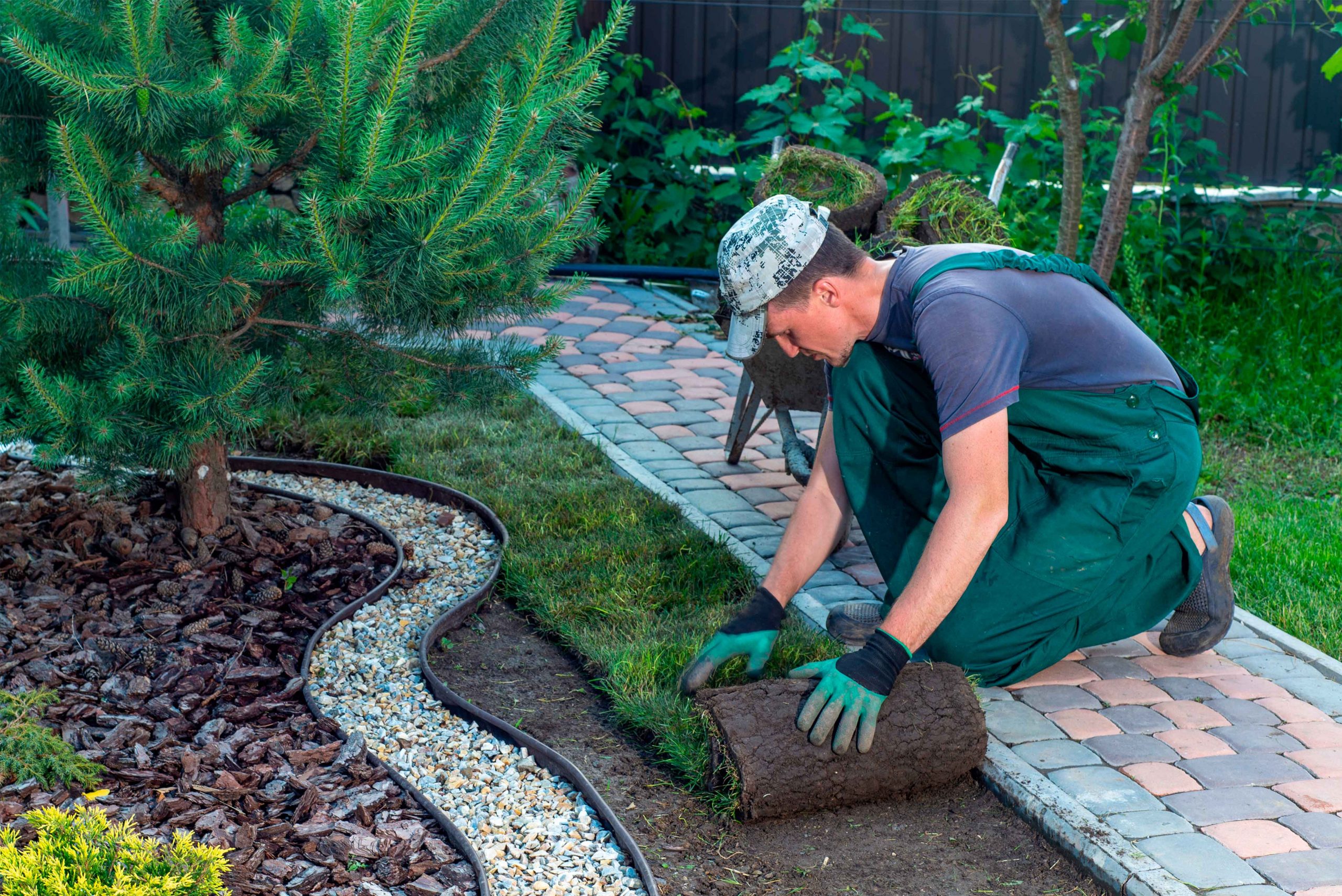 Torres Landscaping – Professional Lawn Care Services In San Mateo ...